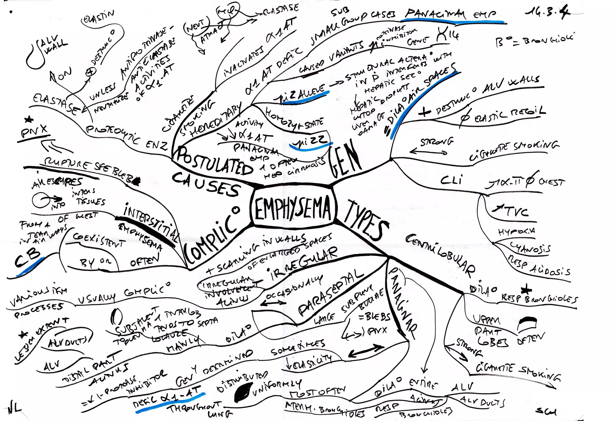 Mind maps pathology respiratory | PDF
