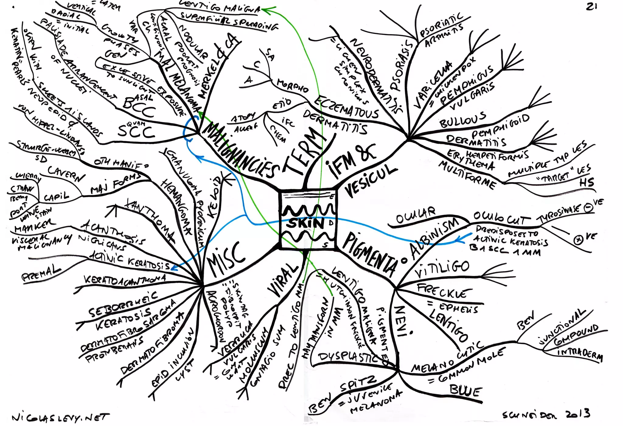 Mind maps pathology skin | PDF