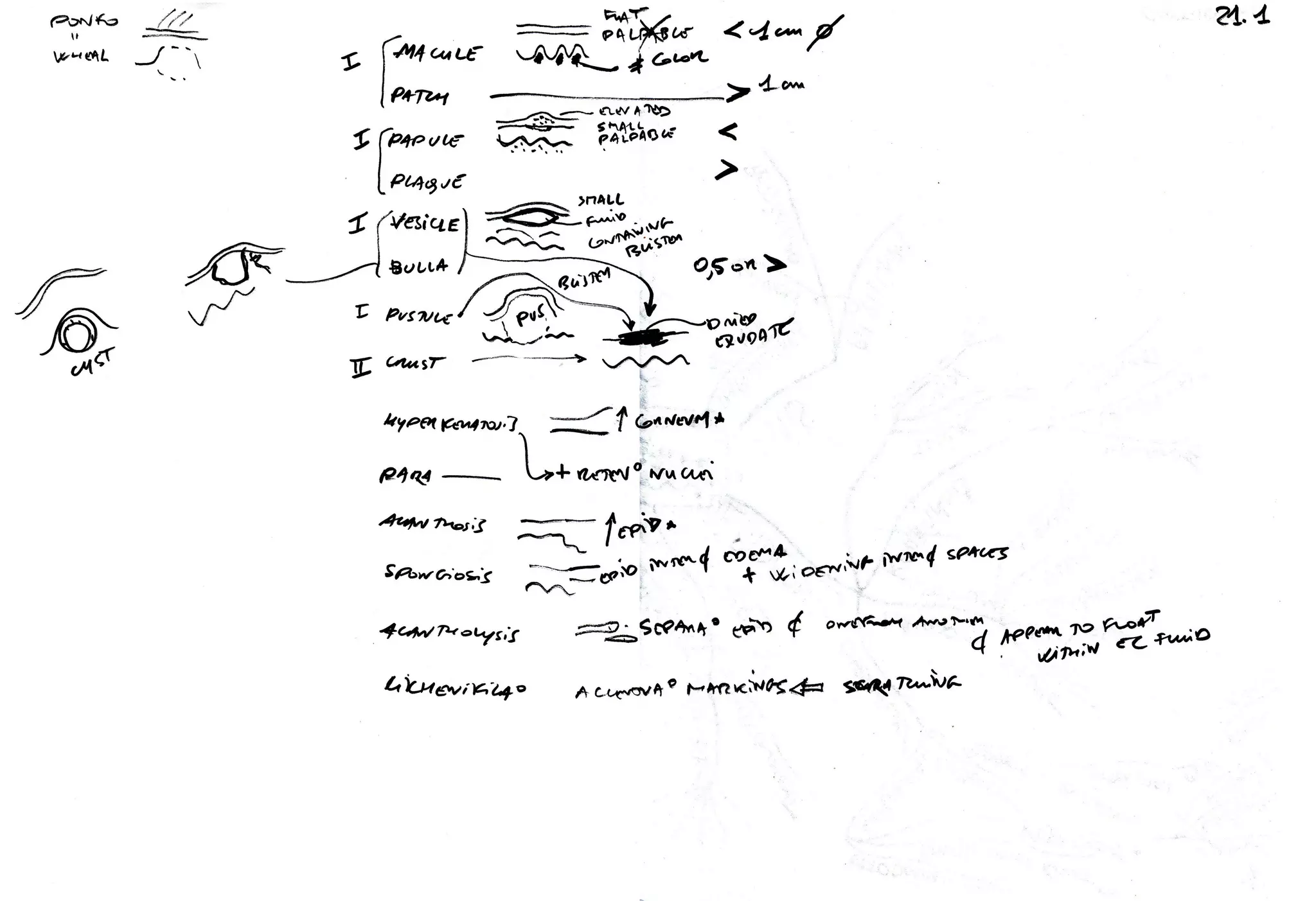 Mind maps pathology skin | PDF