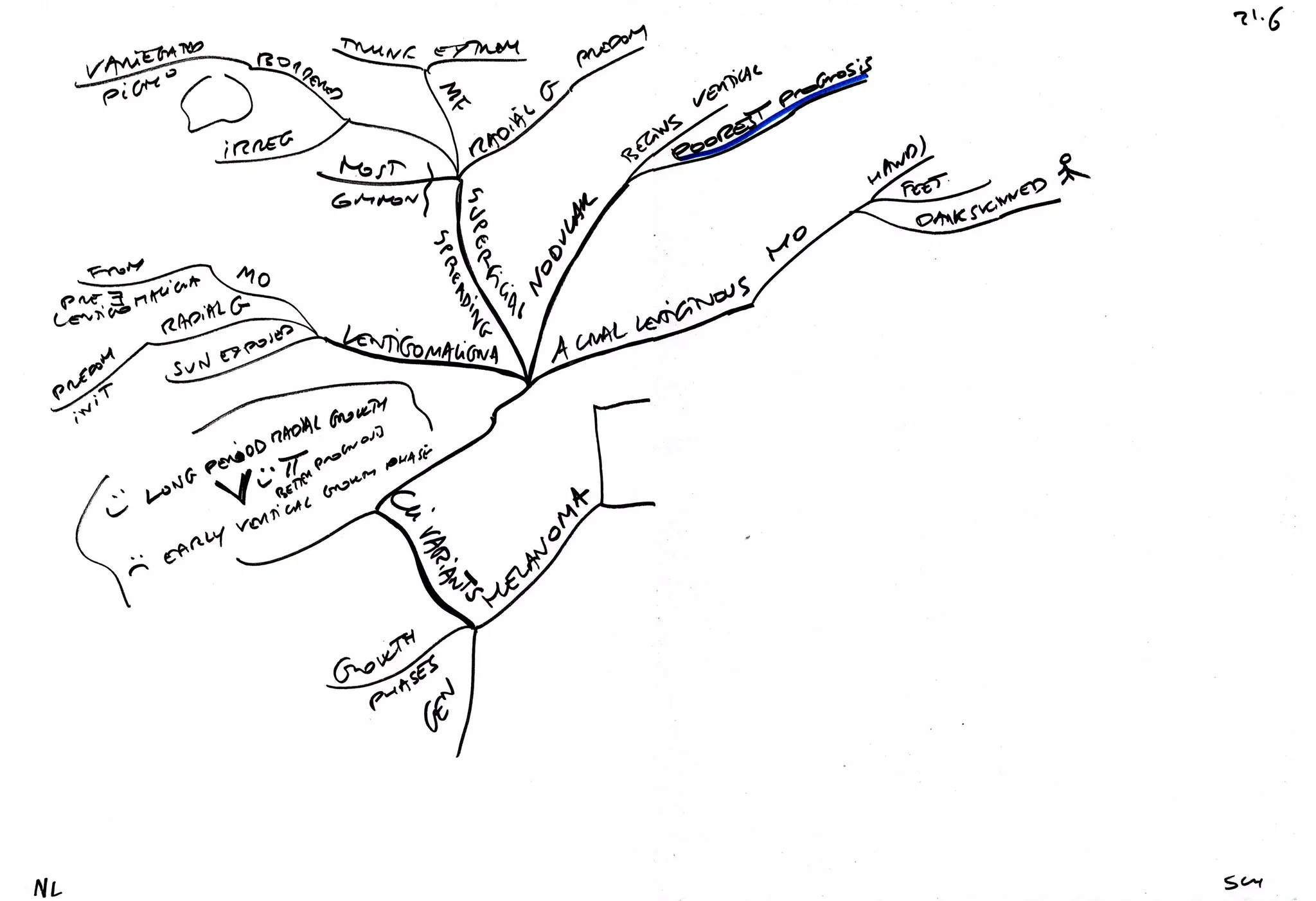 Mind maps pathology skin | PDF