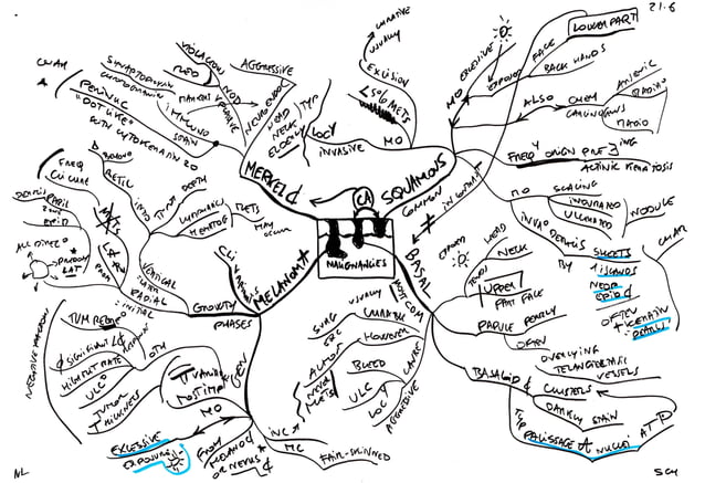 Mind maps pathology skin | PDF