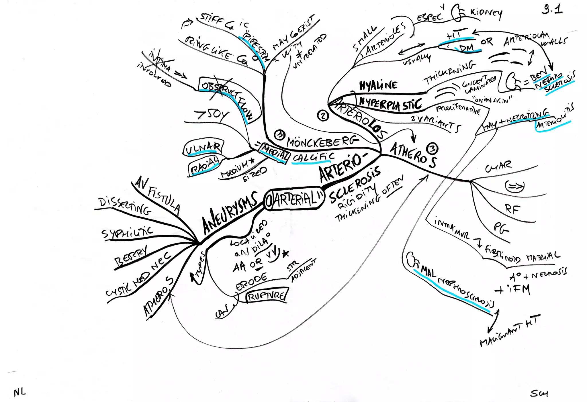 Mind maps pathology_vascular | PDF