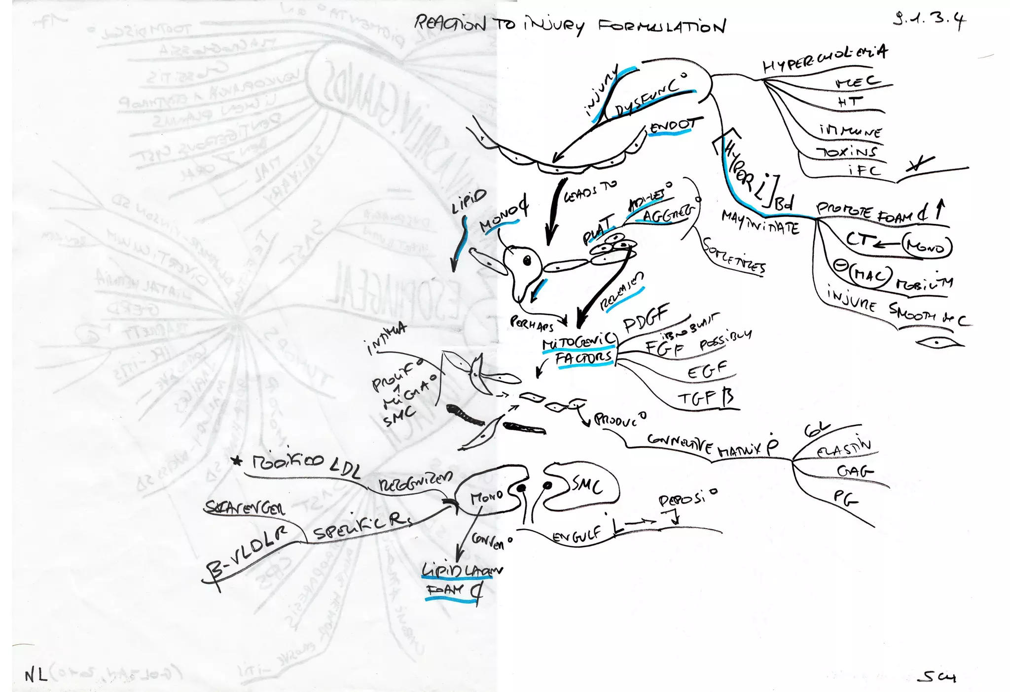 Mind maps pathology_vascular | PDF