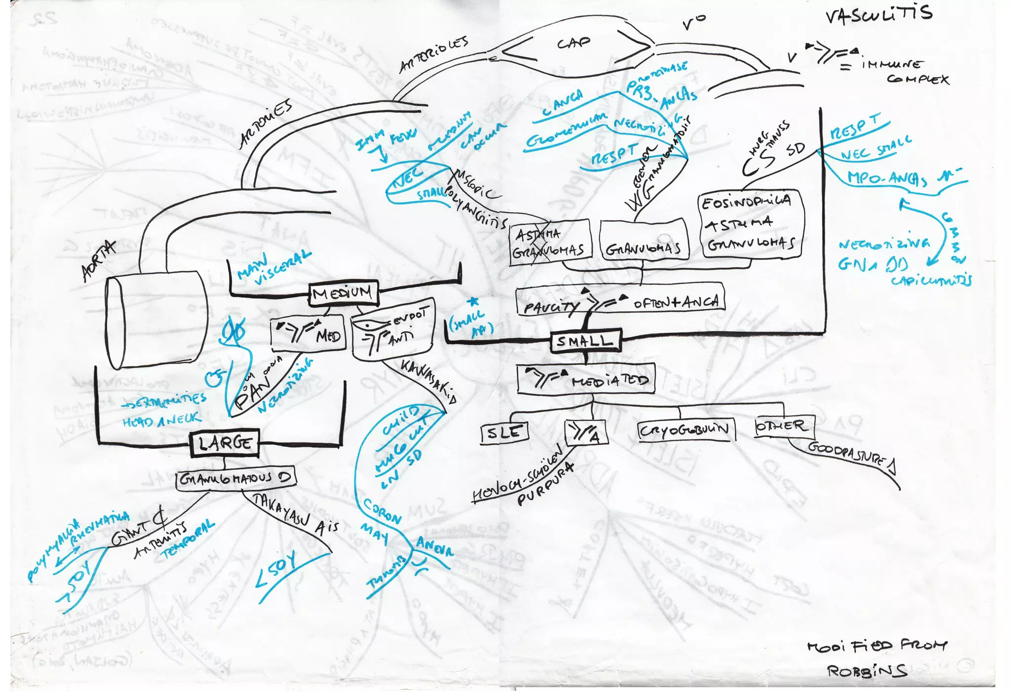Mind maps pathology_vascular | PDF
