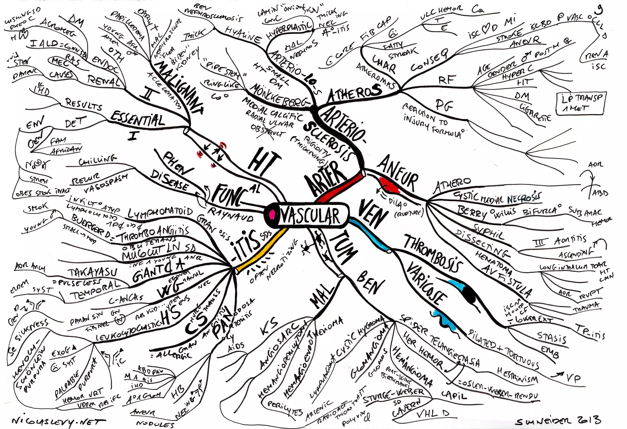 Mind maps pathology_vascular_heart | PPT