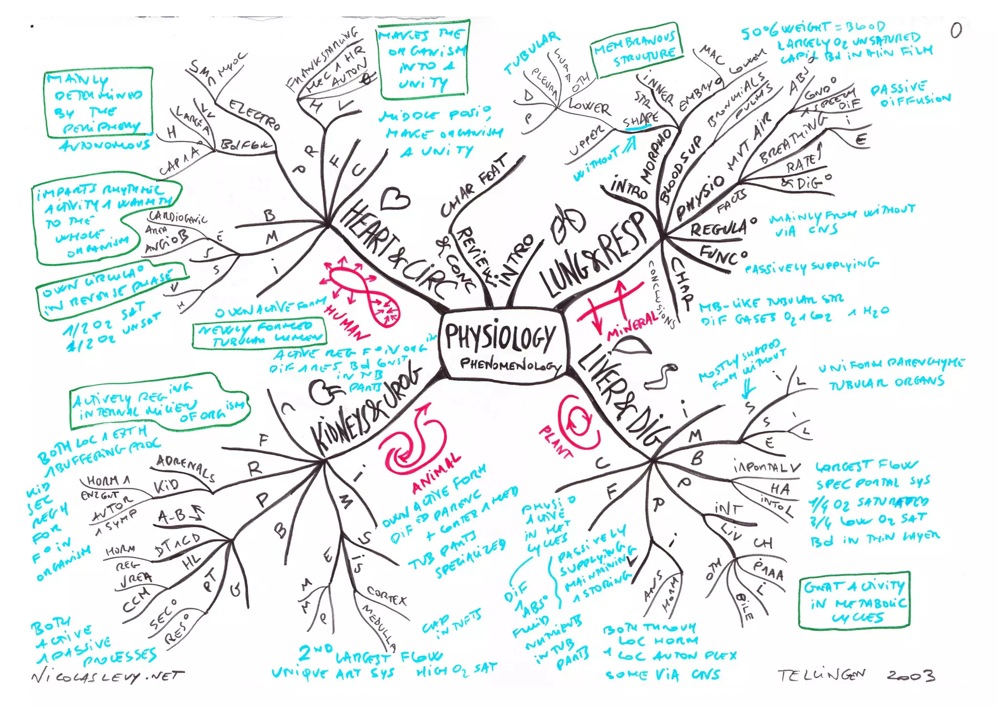 Mind maps physiology costanzo 2014 tellingen 2003 | PDF