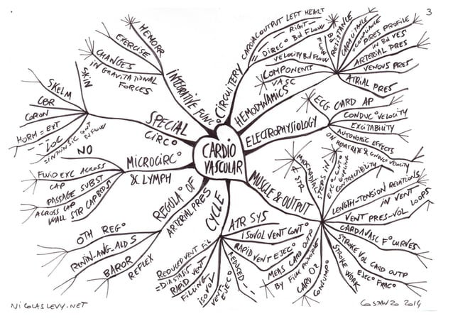 Mind maps physiology costanzo 2014 tellingen 2003 | PPT