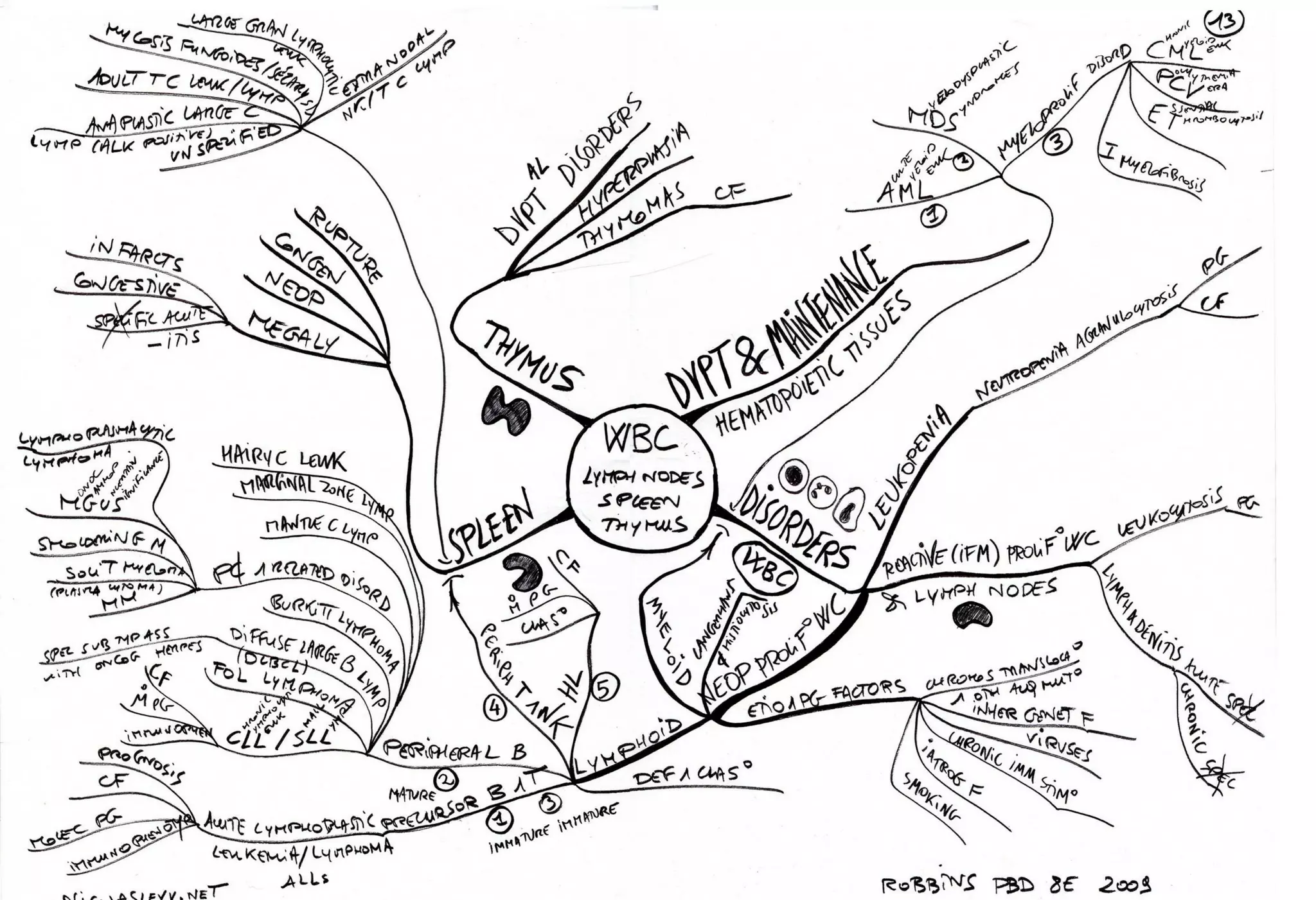 Mind maps robbins_pbd_8e_2009 | PDF