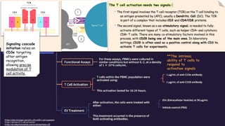 Mind Map Extracellular Vesicles in Cancer and Autoimmunity | PDF