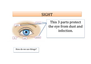 Mind map u1 ns | PDF
