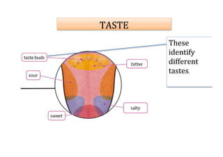 Mind map u1 ns | PDF