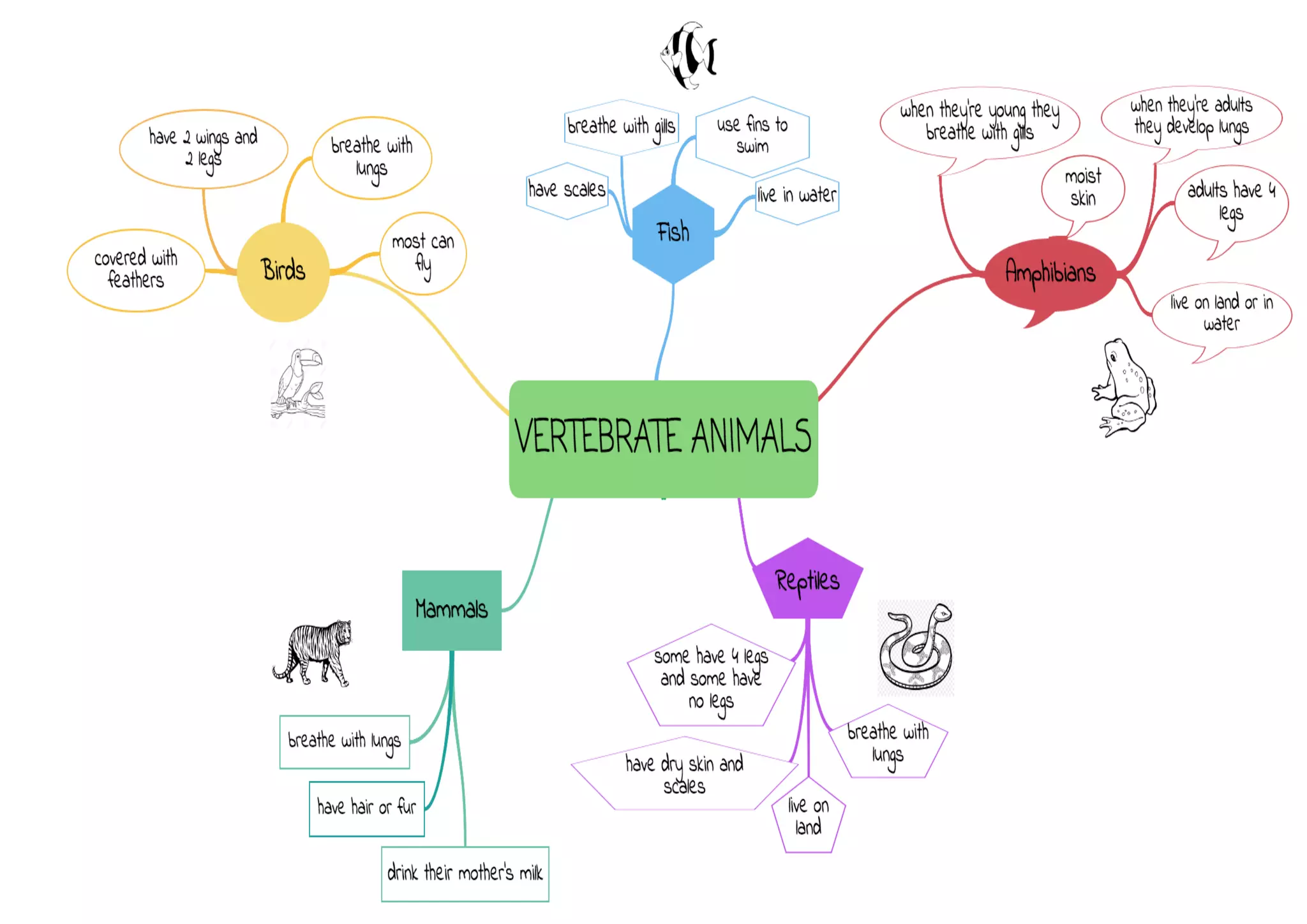 Mindmap unit 1. animals | PPT