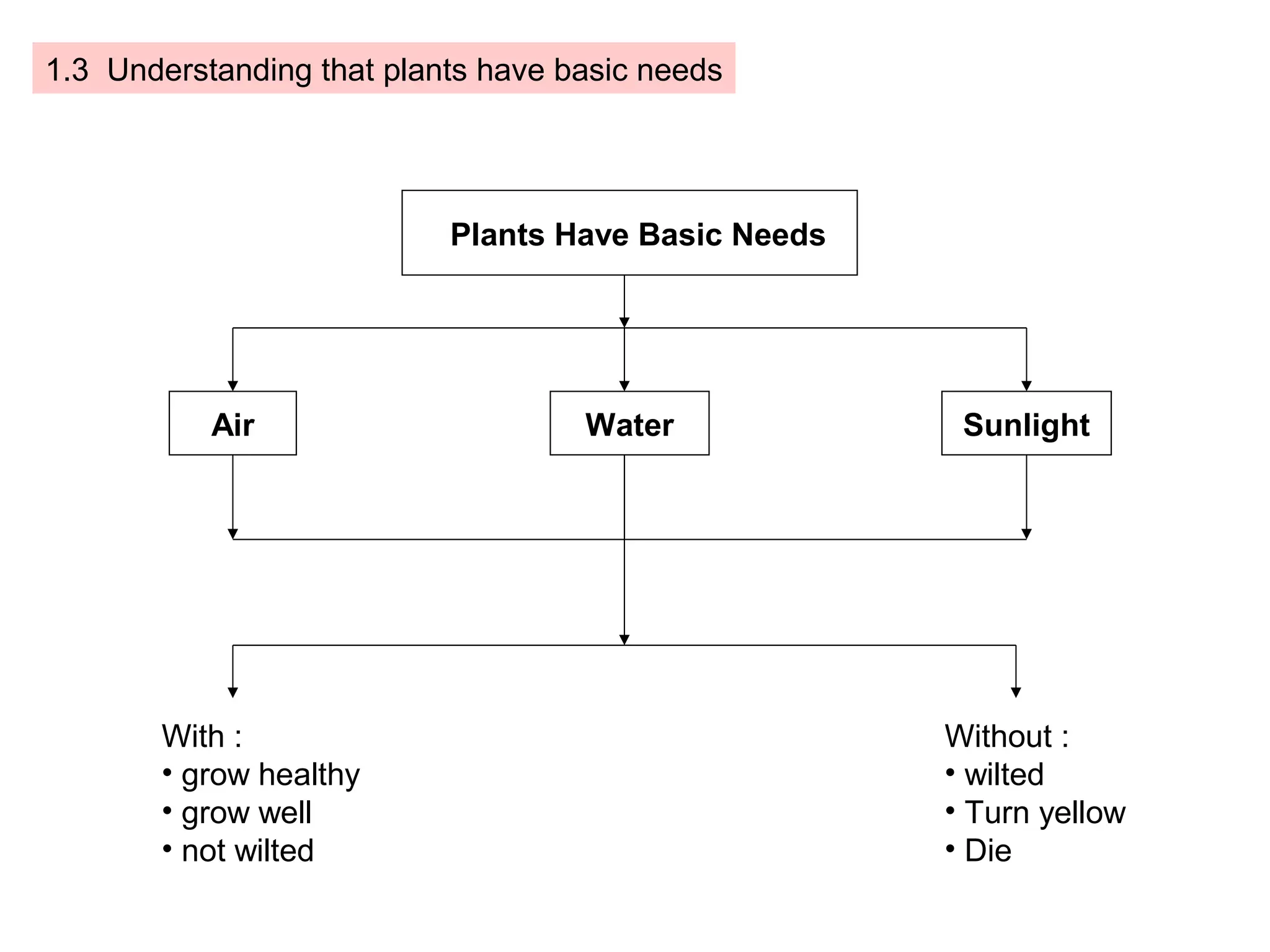 Mind map upsr complete | PPT