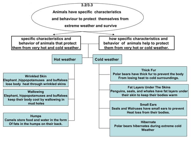 Mind map upsr complete | PPT | Lung and Respiratory Health | Diseases and Conditions