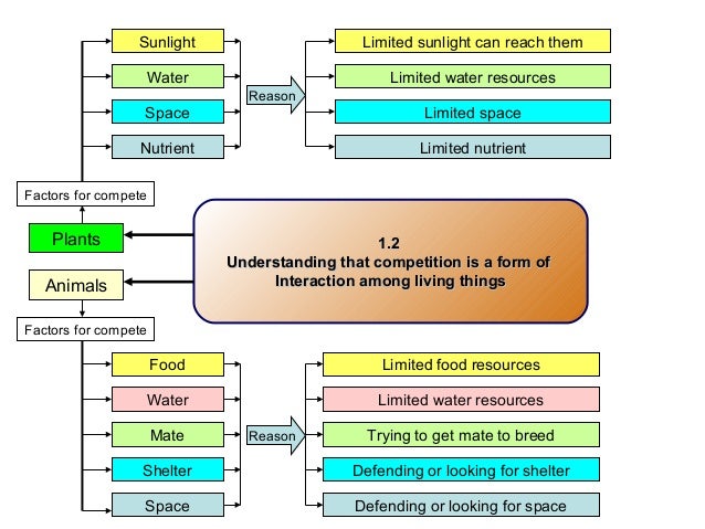 Upsr English Mind Map