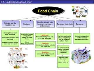 Carta minda upsr latest 2014 t hn 4 yr 5 yr 6 | PPT