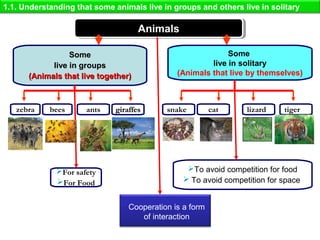 Carta minda upsr latest 2014 t hn 4 yr 5 yr 6 | PPT