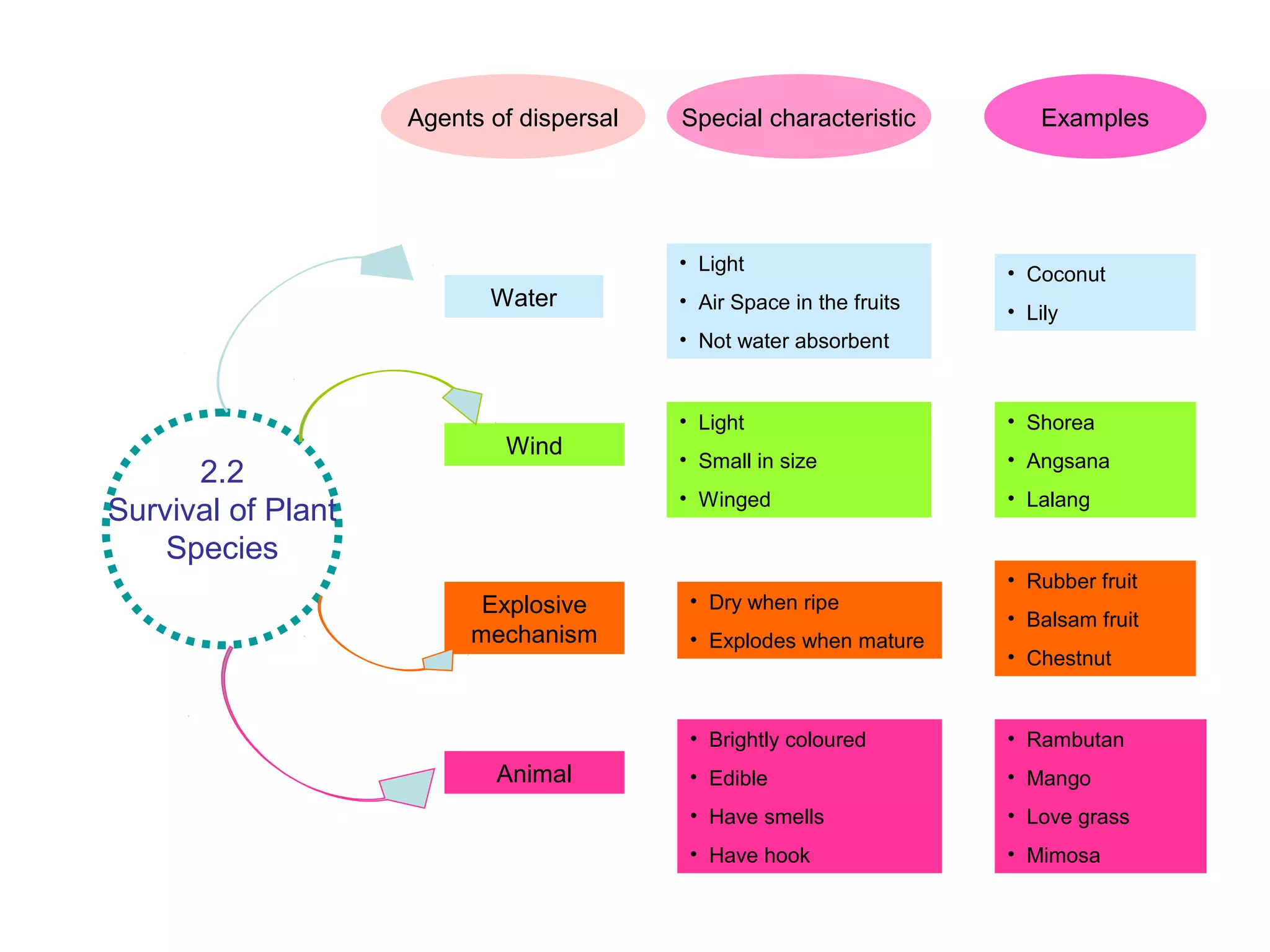Mind map upsr sains | PPT