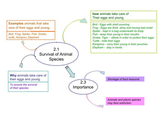 Mind map upsr sains | PPT