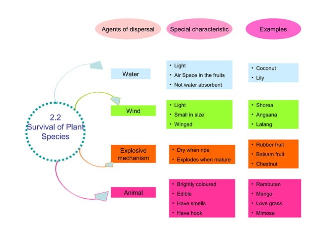 Mind map upsr sains | PPT