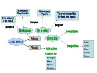 Mind map year 6 | PPT