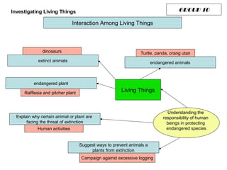Mind map year 6 | PPT
