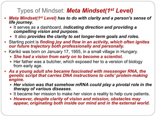 Mindset 2.0.pptx