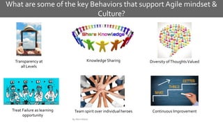 Mindset and culture v1.0 | PDF
