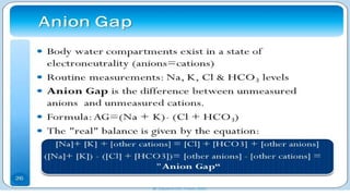Anion Gap | PDF