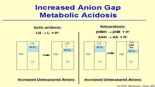 Anion Gap | PDF