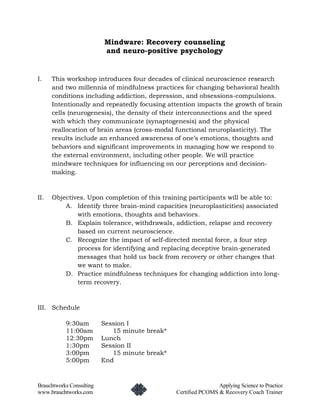 Mindware: Recovery counseling and neuro-positive psychology 130607 ...