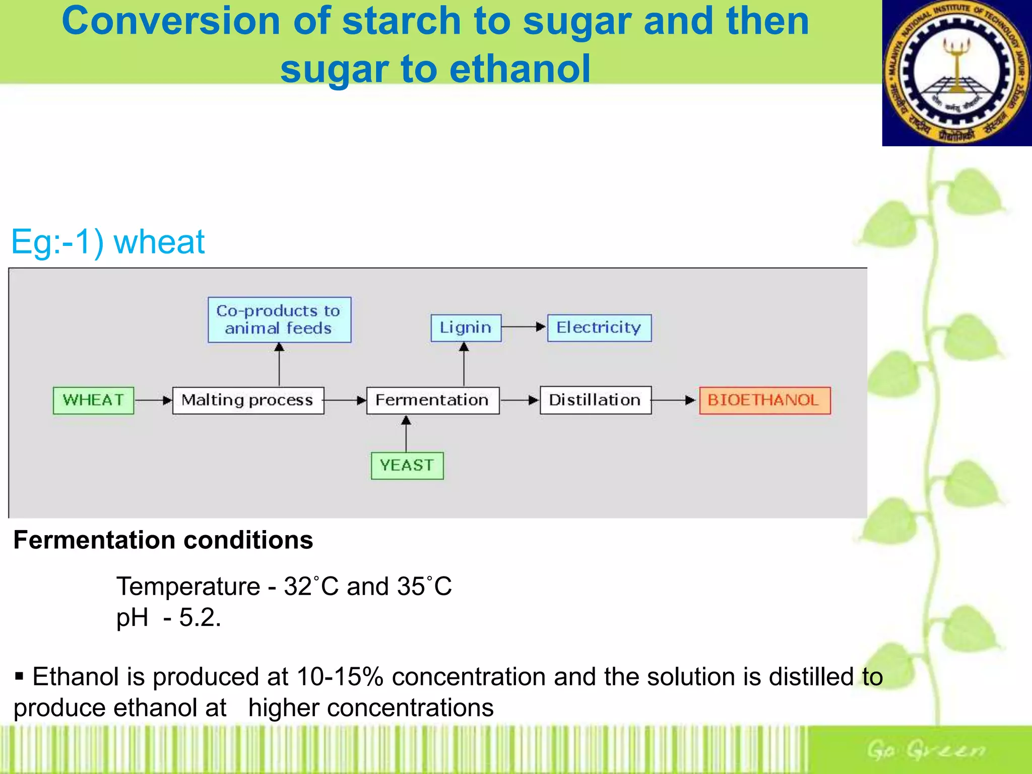 bioethanol ppt | PPTX
