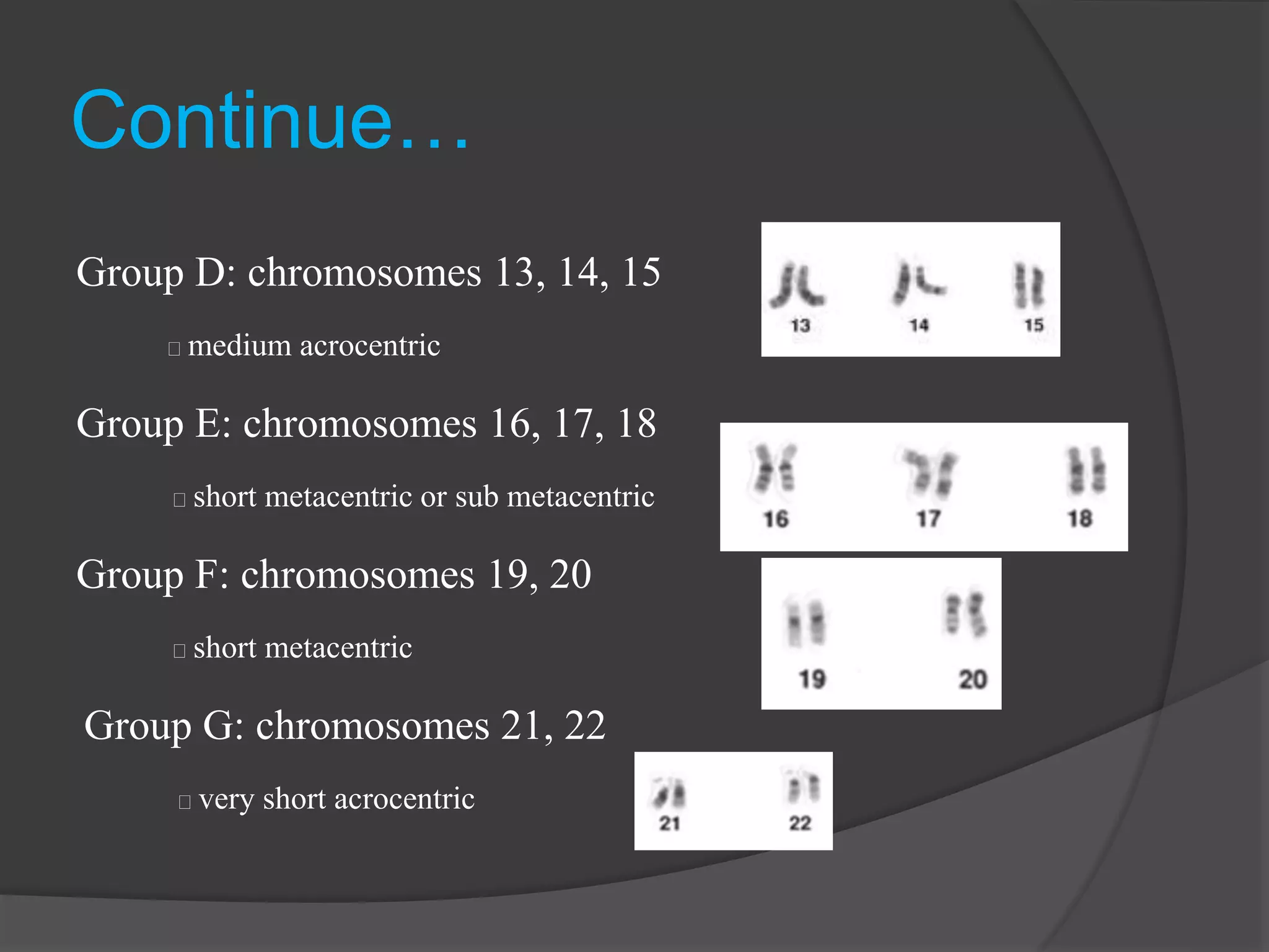 Karyotype &idiogram | PPTX