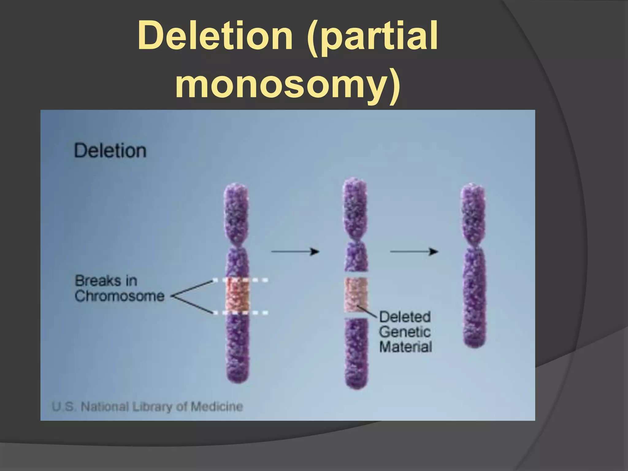 Karyotype &idiogram | PPTX