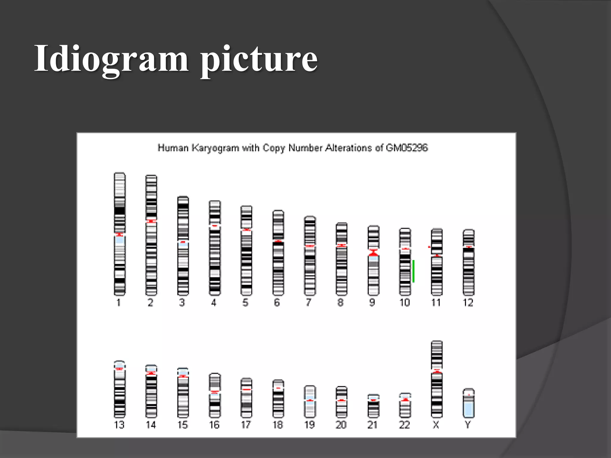 Karyotype &idiogram | PPTX