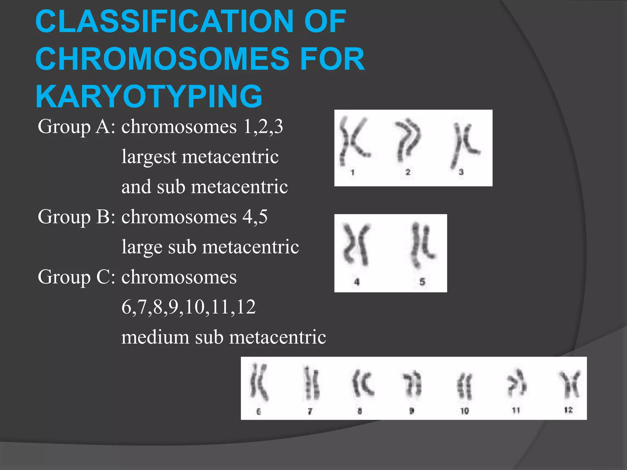 Karyotype &idiogram | PPTX