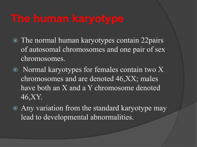 Karyotype &idiogram | PPTX | Genetics | Science