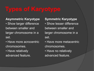 Karyotype &idiogram | PPTX