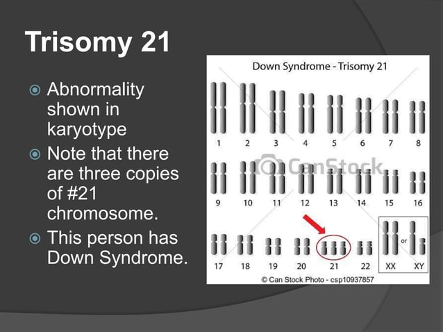 Karyotype &idiogram | PPTX | Genetics | Science