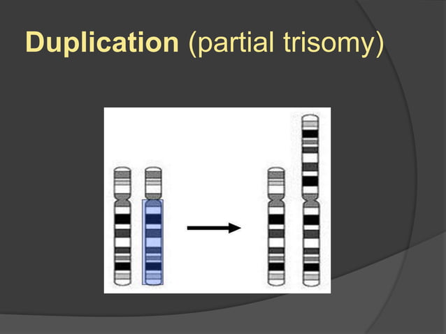 Karyotype &idiogram | PPTX | Genetics | Science