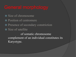 Karyotype &idiogram | PPTX