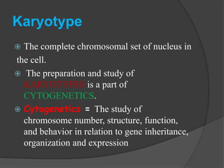 Karyotype &idiogram | PPTX