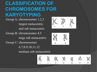Karyotype &idiogram | PPTX