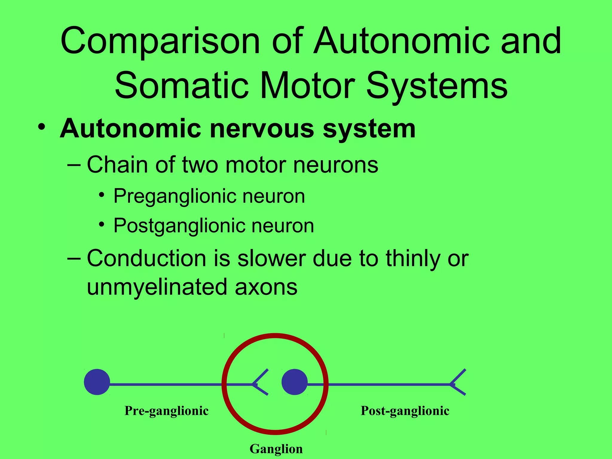 Autonomic Nervous system | PPT