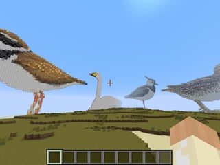 Minecraft Expanded Horizons - How Minecraft is more than just a game ...