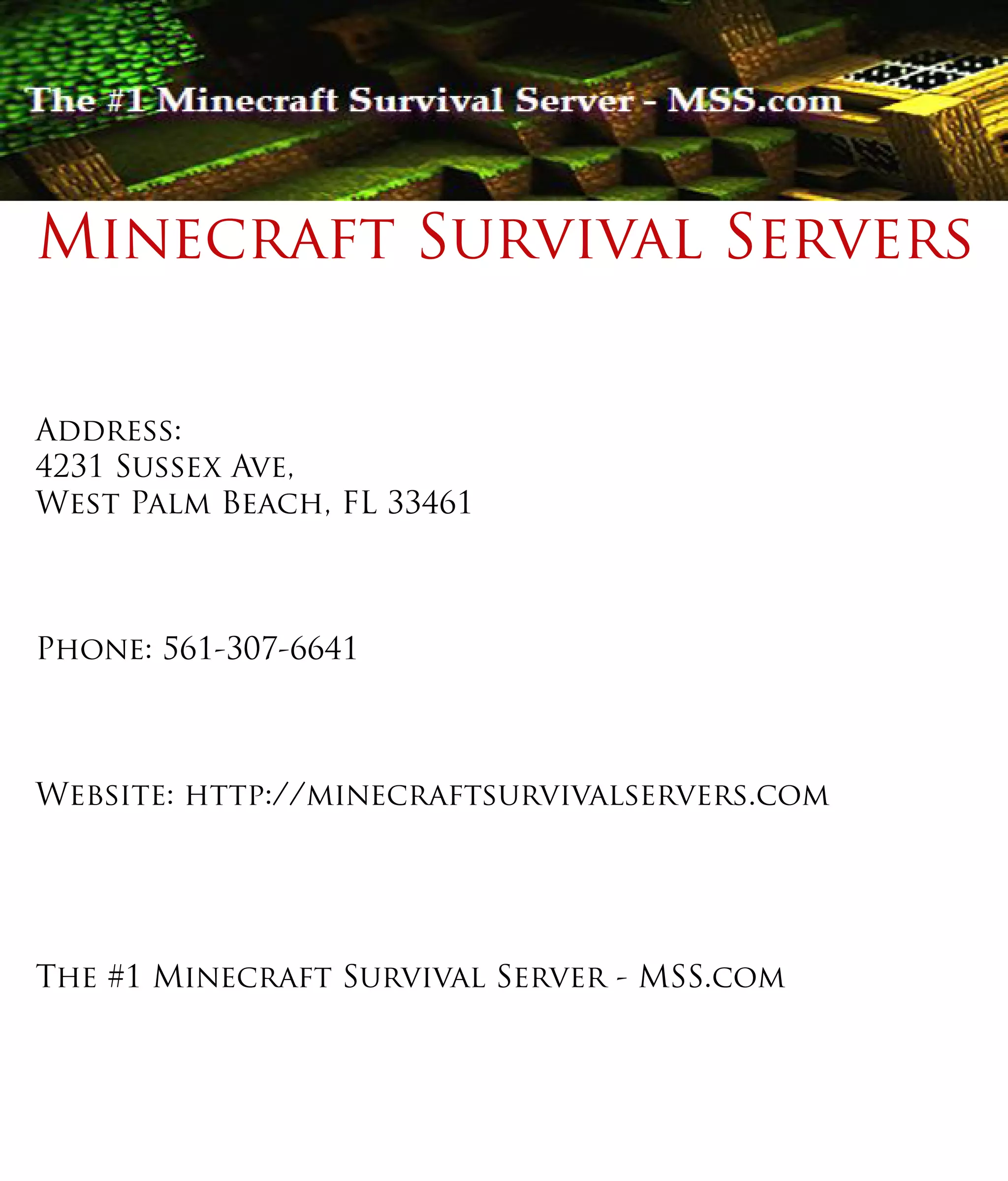 Minecraft survival servers | PDF
