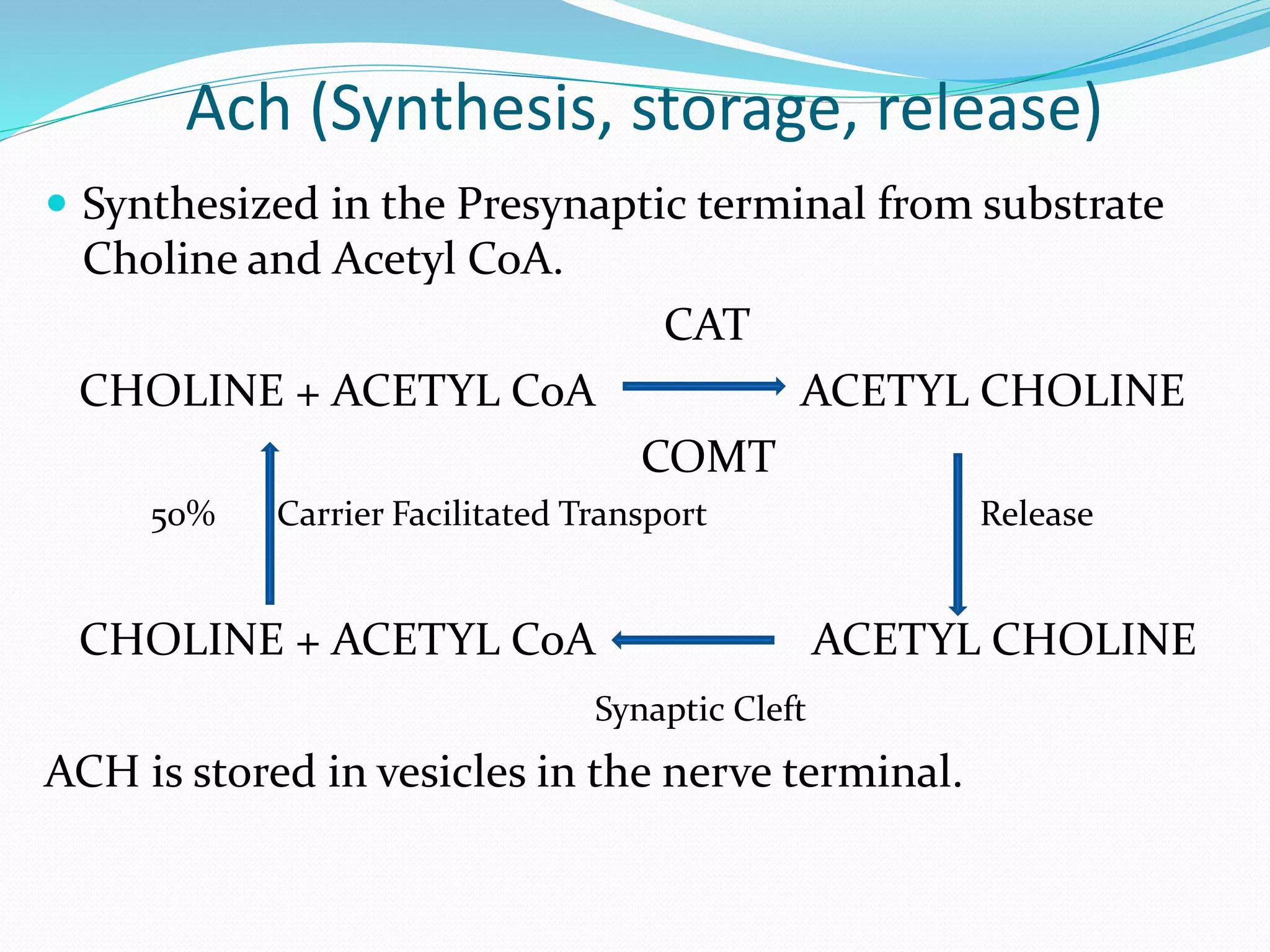 neuromuscular junction physiology | PPTX