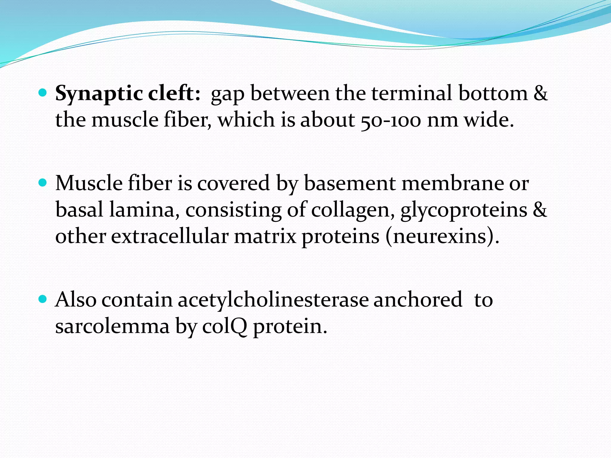 neuromuscular junction physiology | PPTX