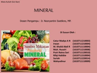 MINERAL.pptx