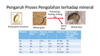 Jenis-Jenis Mineral yang terdapat di dalam alam | PPT